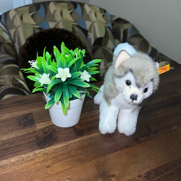 steiff | Other | Steiff Bernie The Husky Malamute Dog Plush Stuffed ...